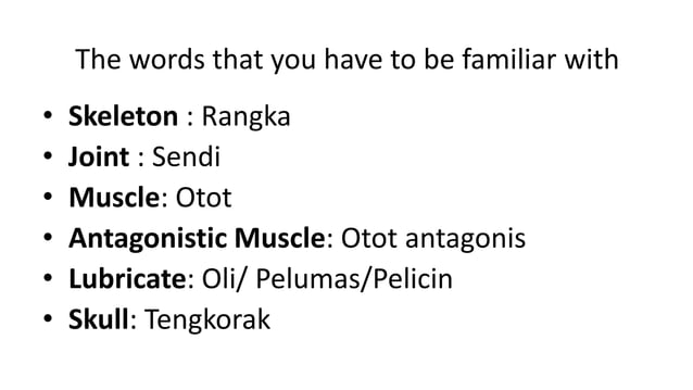 G7_Bones and Skeleton.pptx