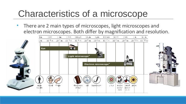 G7 ch1.3 exploring life