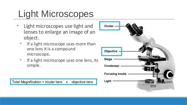 G7 ch1.3 exploring life