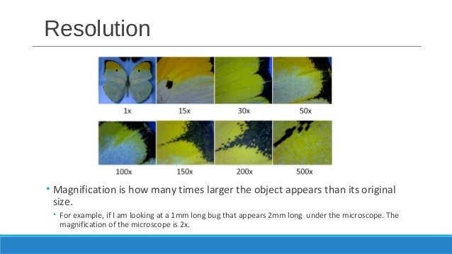 G7 ch1.3 exploring life