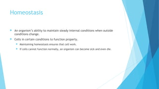 G7 ch1.1 characteristics of life | PPT