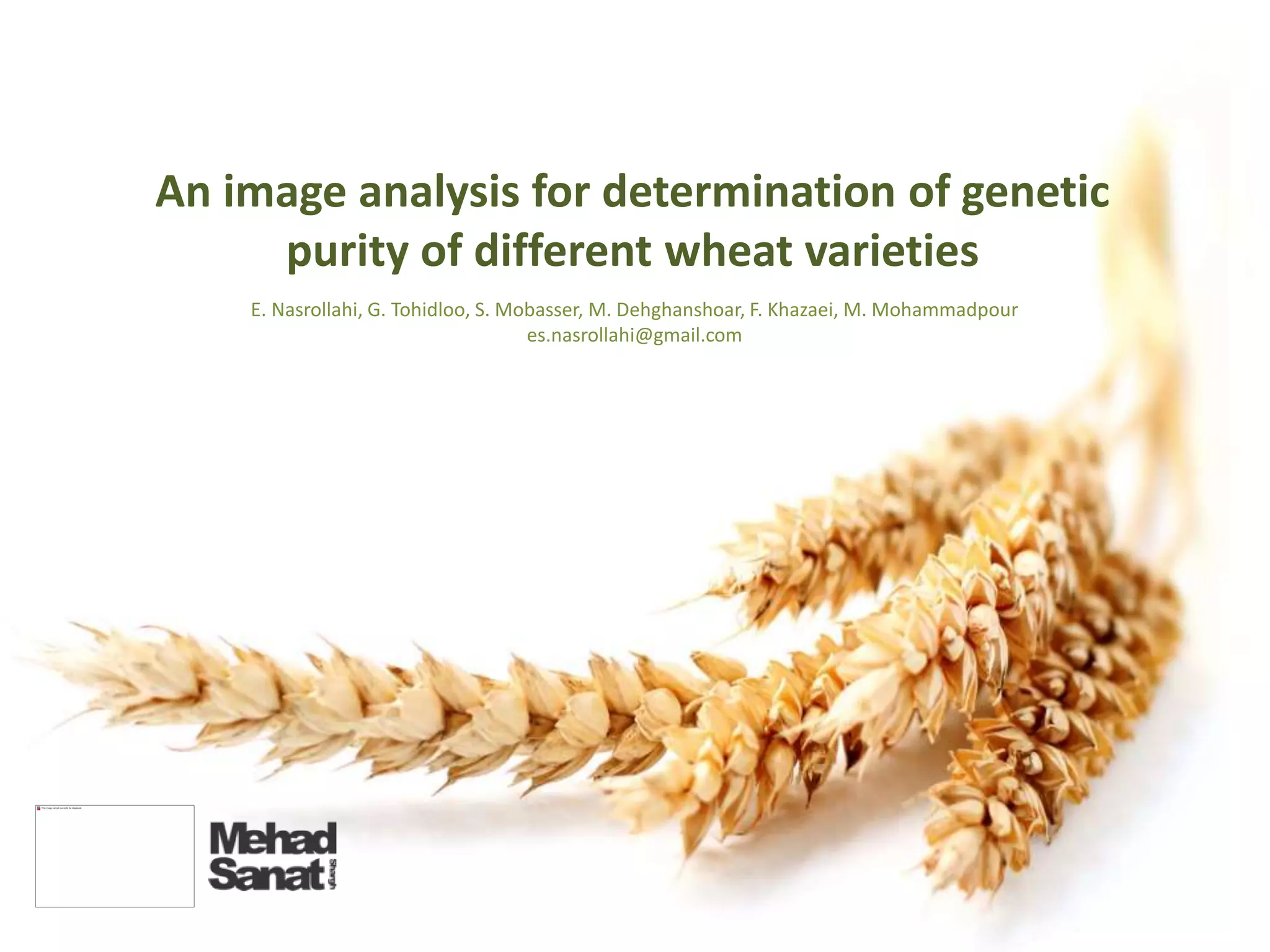 An image analysis for determination of genetic purity of different ...