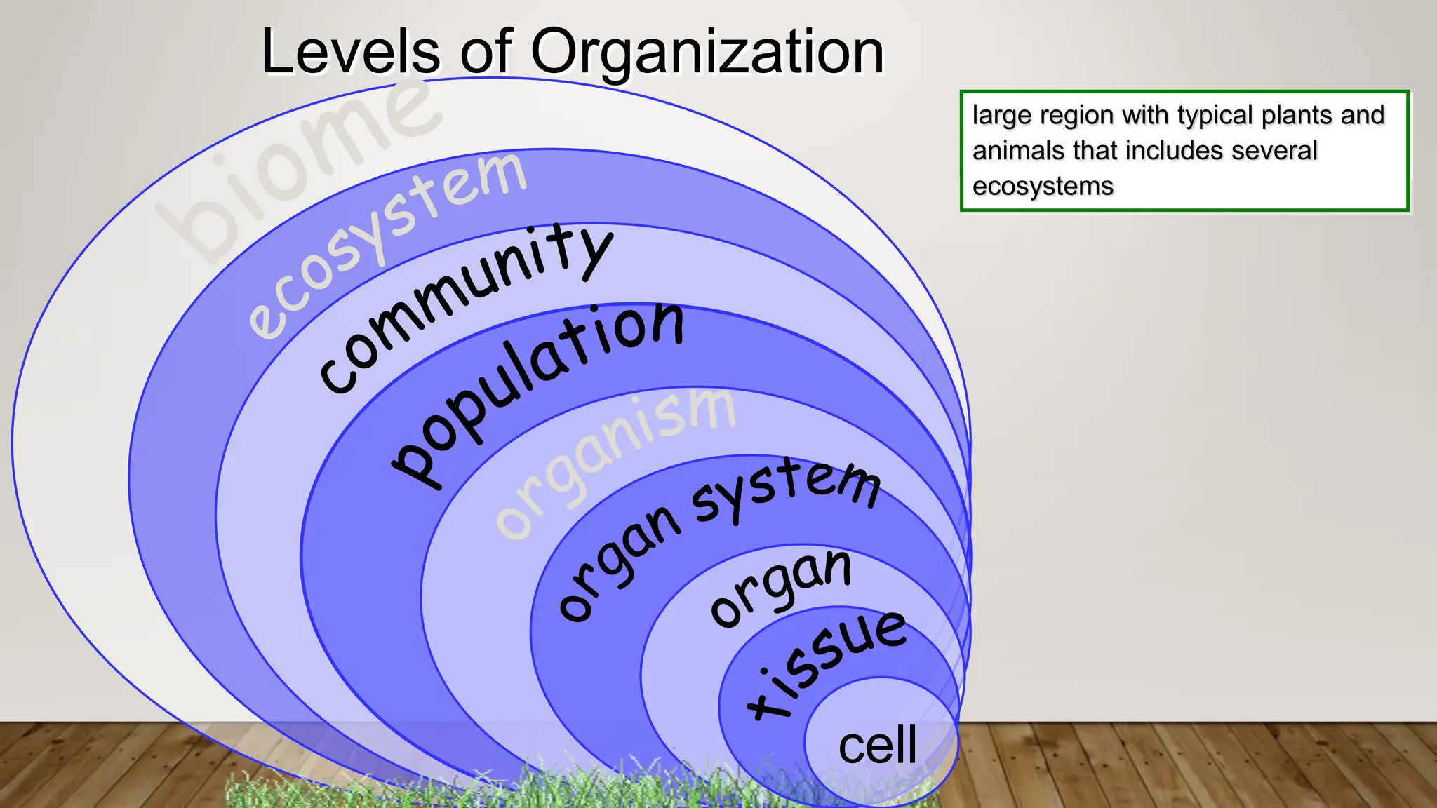 G7 Science Q2- Week 3-Levels of Biological Organization.ppt