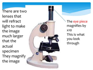 G7 Sciene Q2- Week 2-Focus specimens.pptx