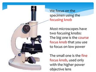 G7 Sciene Q2- Week 2-Focus specimens.pptx