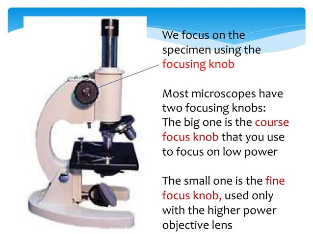 G7 Sciene Q2- Week 2-Focus specimens.pptx
