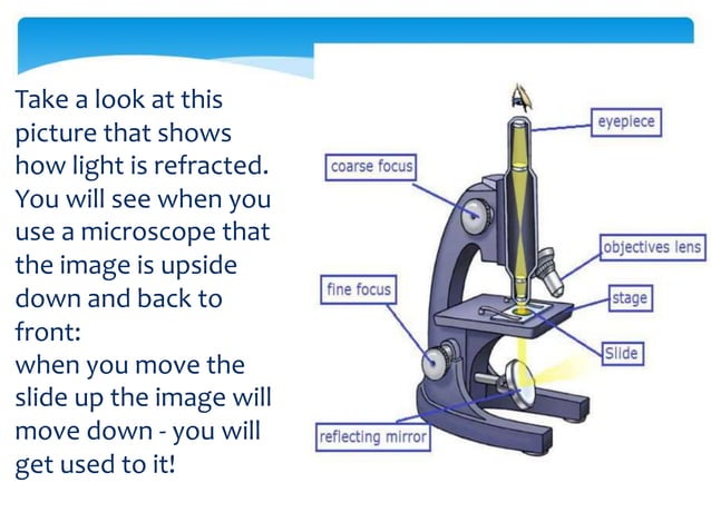 G7 Sciene Q2- Week 2-Focus specimens.pptx