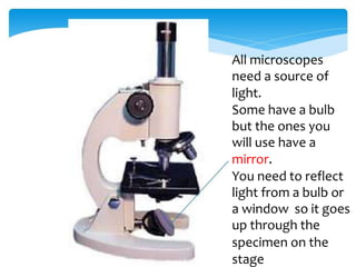 G7 Sciene Q2- Week 2-Focus specimens.pptx