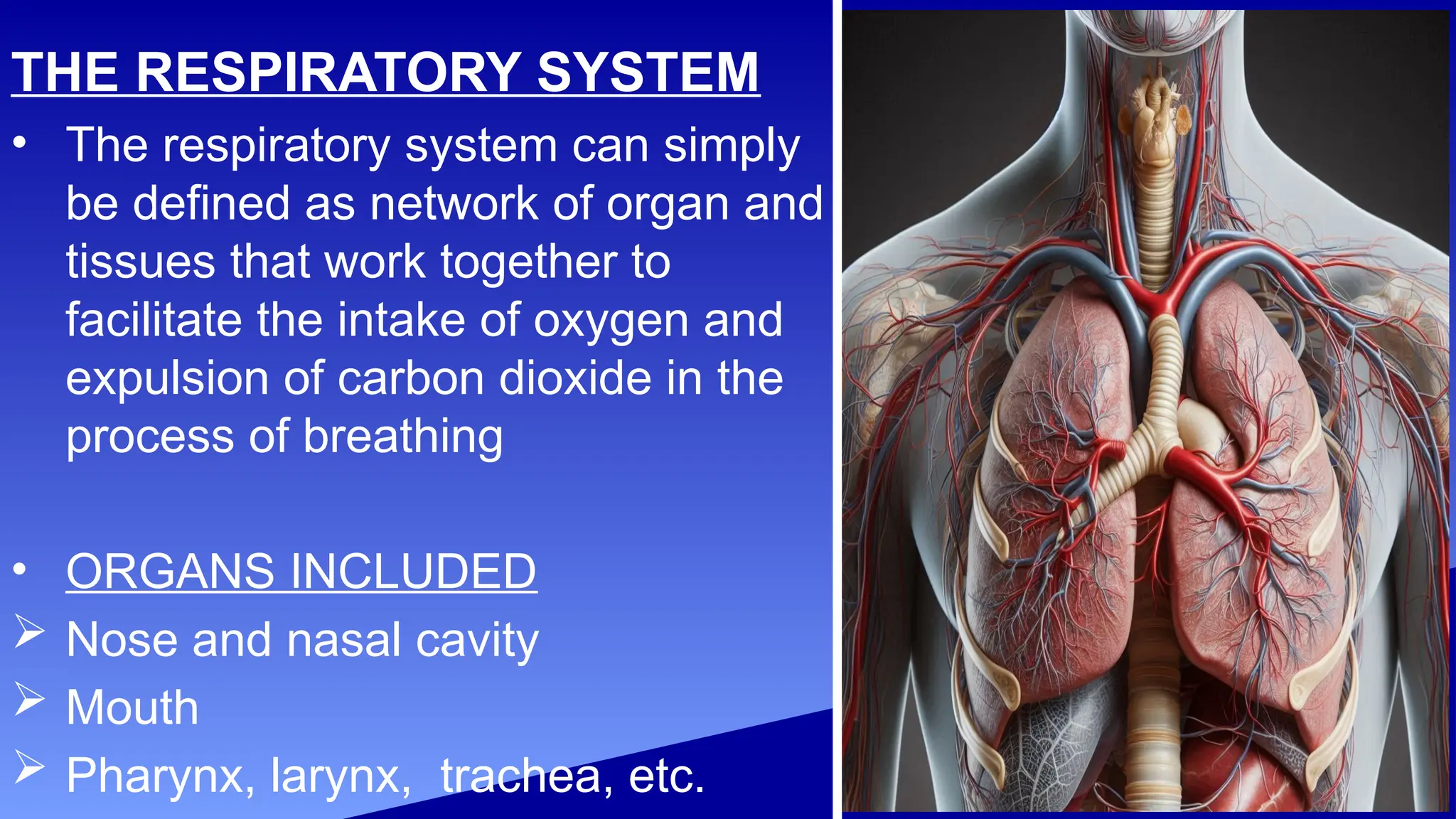 Clinical Pathology on the Respiratory System | PPTX