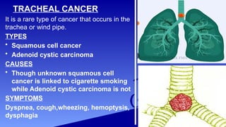 Clinical Pathology on the Respiratory System | PPT