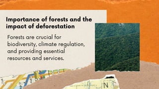 Gg-DESTATION-AND-LAND-USE-CONVERSION.pdf