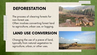 Gg-DESTATION-AND-LAND-USE-CONVERSION.pdf