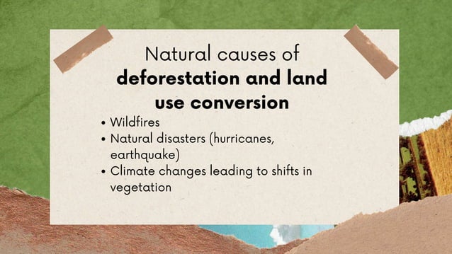 Gg-DESTATION-AND-LAND-USE-CONVERSION.pdf