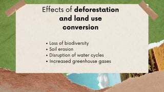 Gg-DESTATION-AND-LAND-USE-CONVERSION.pdf