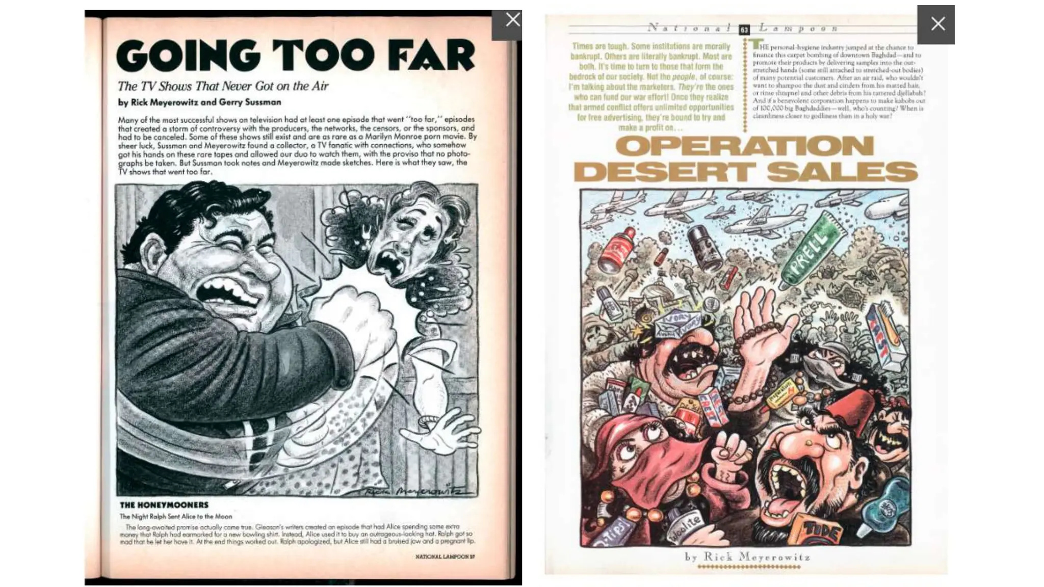 Grade 8- EDITORIAL CARTOONING sample for Journalism | PPTX