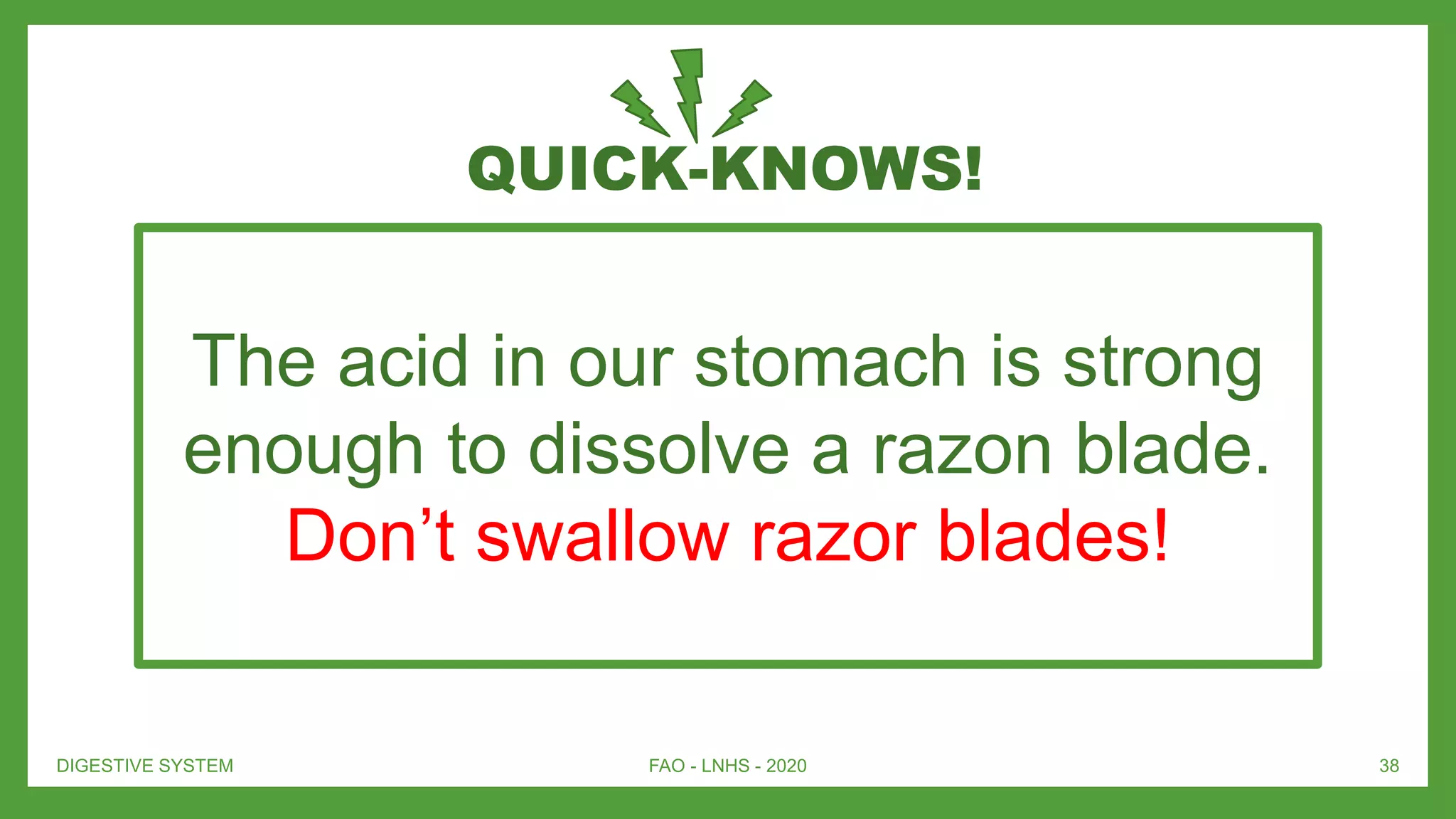 Digestive System (Grade 8, Quarter 4) | PPTX