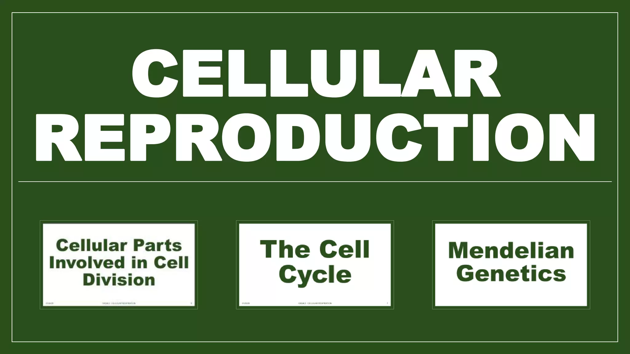 Cellular Reproduction (Grade 8, Quarter 4) | PPTX | Biological Sciences ...