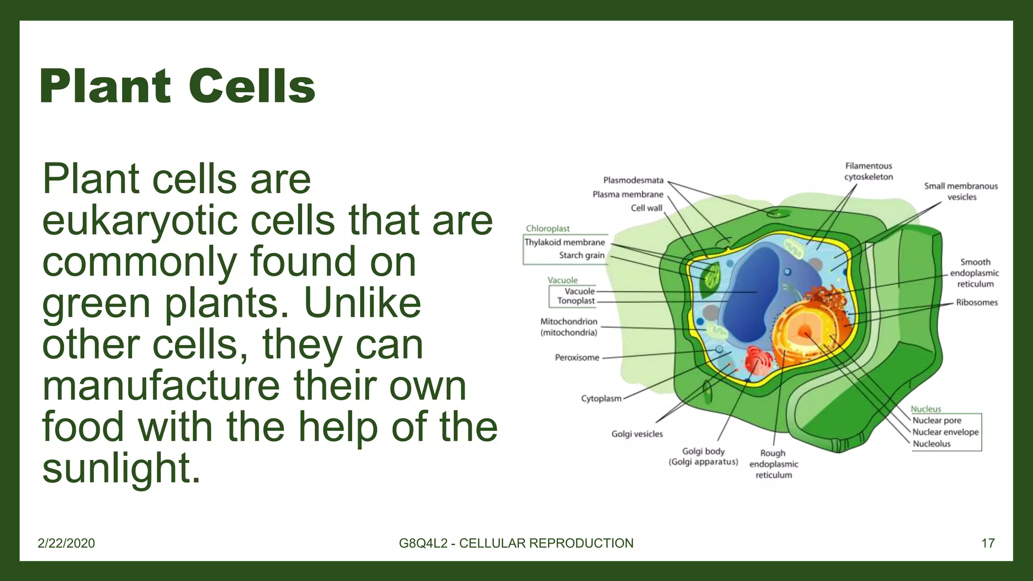 Cellular Reproduction (Grade 8, Quarter 4) | PPTX