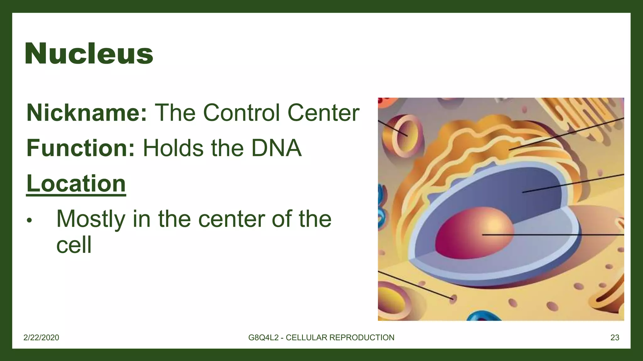 Cellular Reproduction (Grade 8, Quarter 4) | PPTX