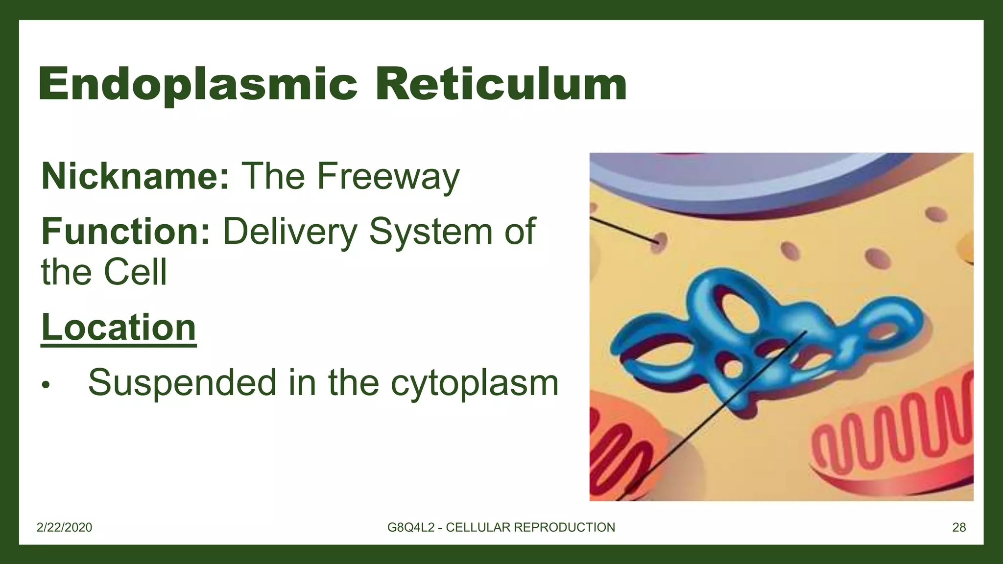 Cellular Reproduction (Grade 8, Quarter 4) | PPTX