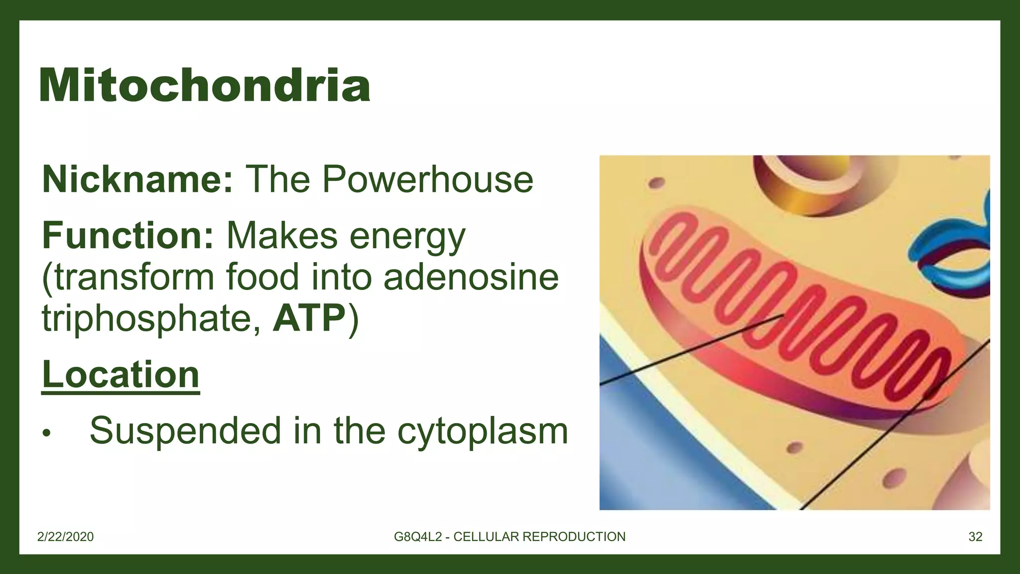 Cellular Reproduction (Grade 8, Quarter 4) | PPTX