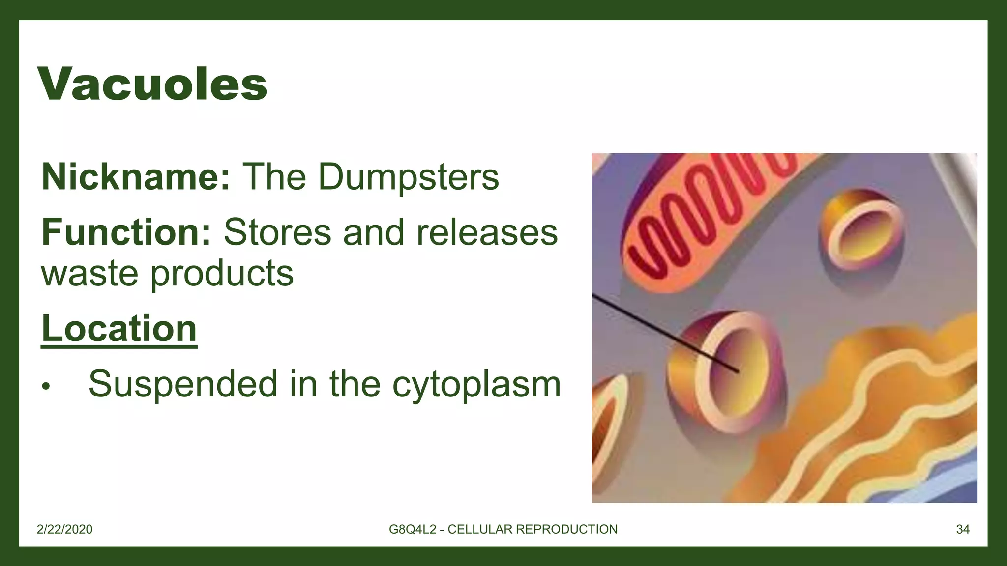 Cellular Reproduction (Grade 8, Quarter 4) | PPTX