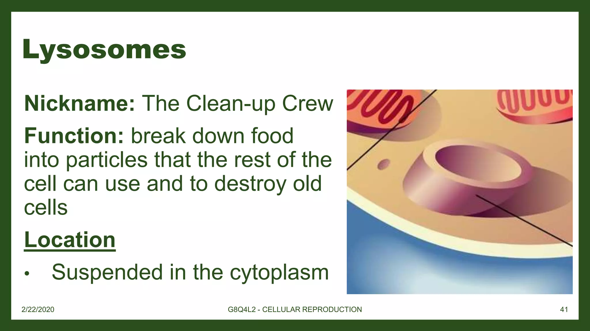 Cellular Reproduction (Grade 8, Quarter 4) | PPTX