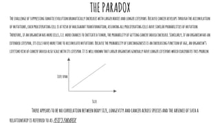 Peto’s Paradox | PPTX