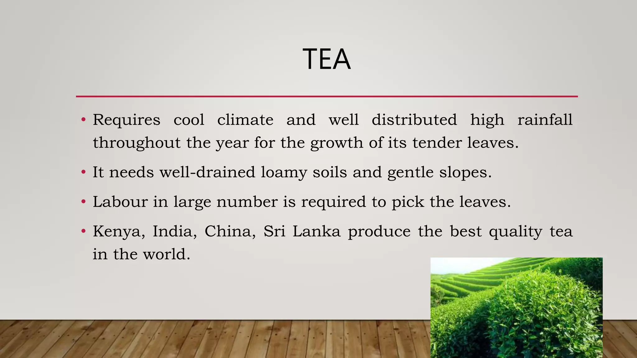 G8 Chapter 4 Agriculture-Major crops.pptx