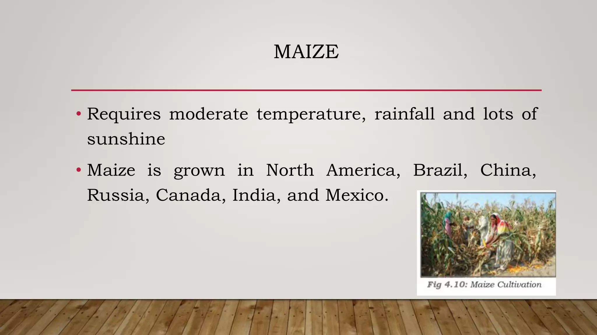 G8 Chapter 4 Agriculture-Major crops.pptx