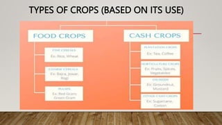 G8 Chapter 4 Agriculture-Major crops.pptx