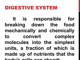 Grade Eight - The Human Digestive System | PPTX