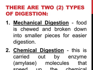 Grade Eight - The Human Digestive System | PPTX