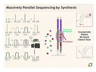 Ngs introduction | PPT