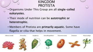 Biological Classification | PPTX