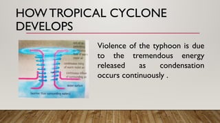 What is Typhoon? How Typhoon develop? How to track typhoon. | PPT