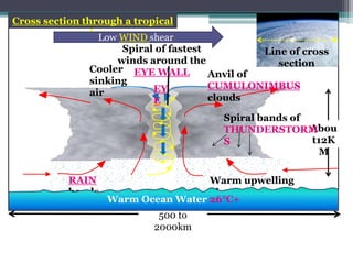 G8 Science Q2- Week 5- How Typhoon Develops.pptx
