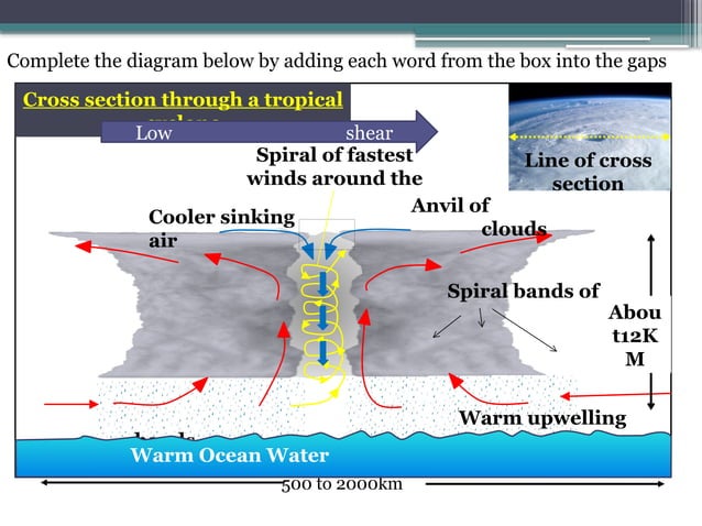 G8 Science Q2- Week 5- How Typhoon Develops.pptx