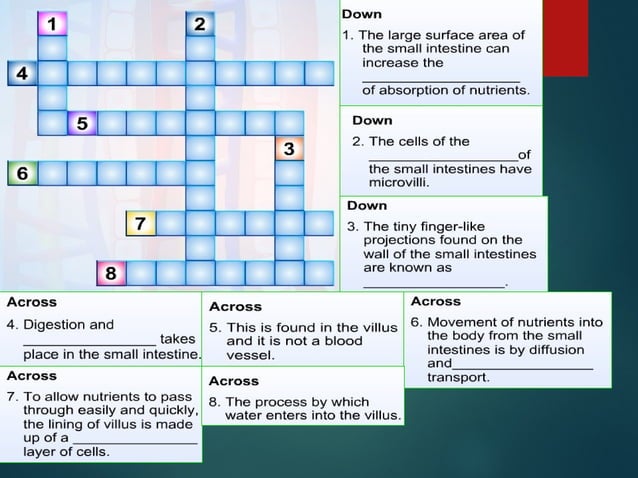 G8 Science Q4- Week 1- Absorption-n-Assimilation.ppt | Chemistry | Science