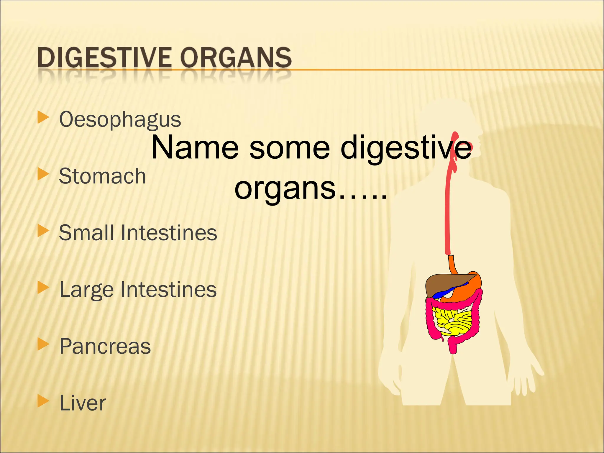 G8 Science Q4-Week 1- Digestive System.ppt