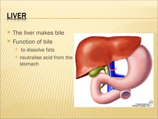 G8 Science Q4-Week 1- Digestive System.ppt