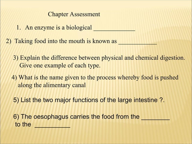 G8 Science Q4-Week 1- Digestive System.ppt
