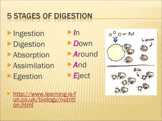 G8 Science Q4-Week 1- Digestive System.ppt