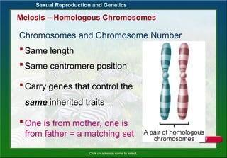 G8 Science Q4- Week 2- Meiosis098u877889987897ug.ppt