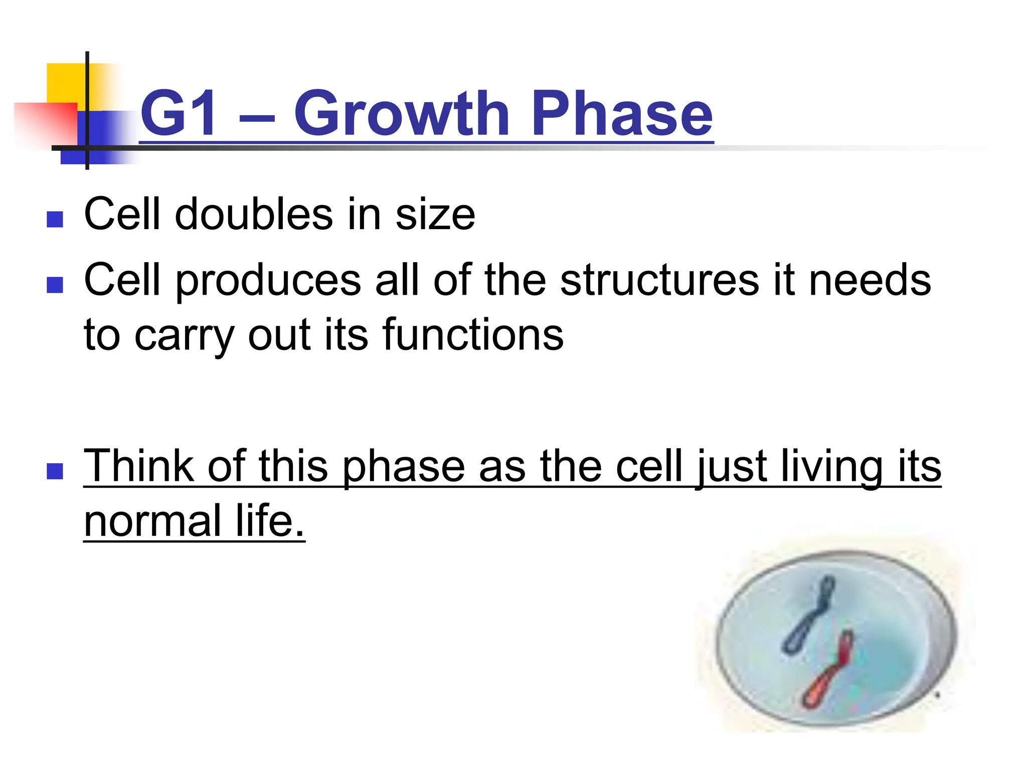 G8 Science Q4- Week 2 Cell-Division-Mitosis-Meiosis-Ppt.pptx