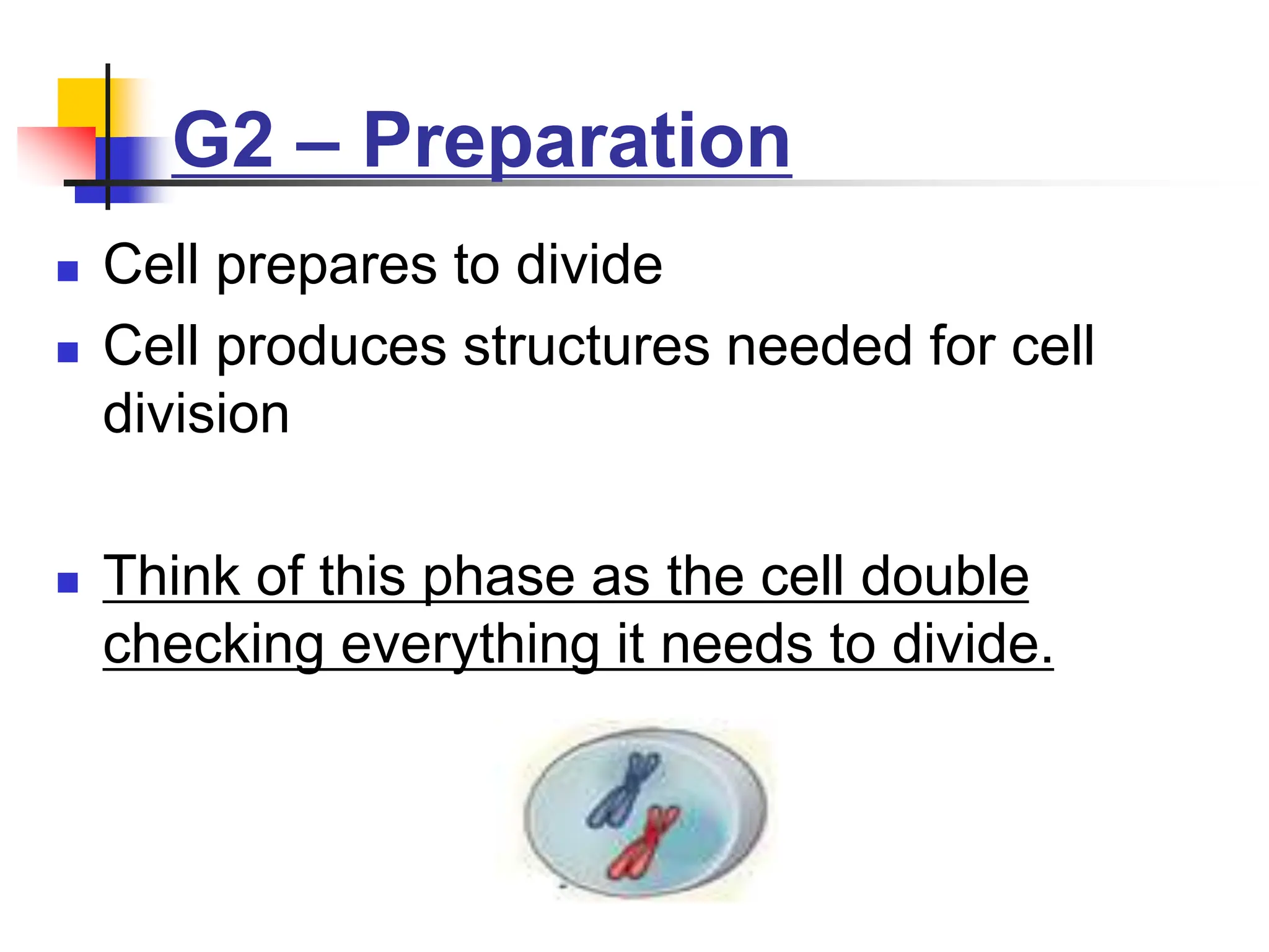 G8 Science Q4- Week 2 Cell-Division-Mitosis-Meiosis-Ppt.pptx