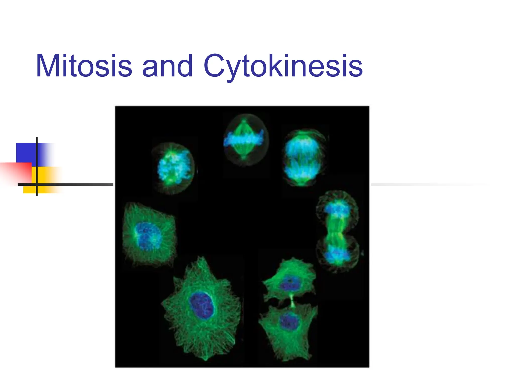 G8 Science Q4- Week 2 Cell-Division-Mitosis-Meiosis-Ppt.pptx