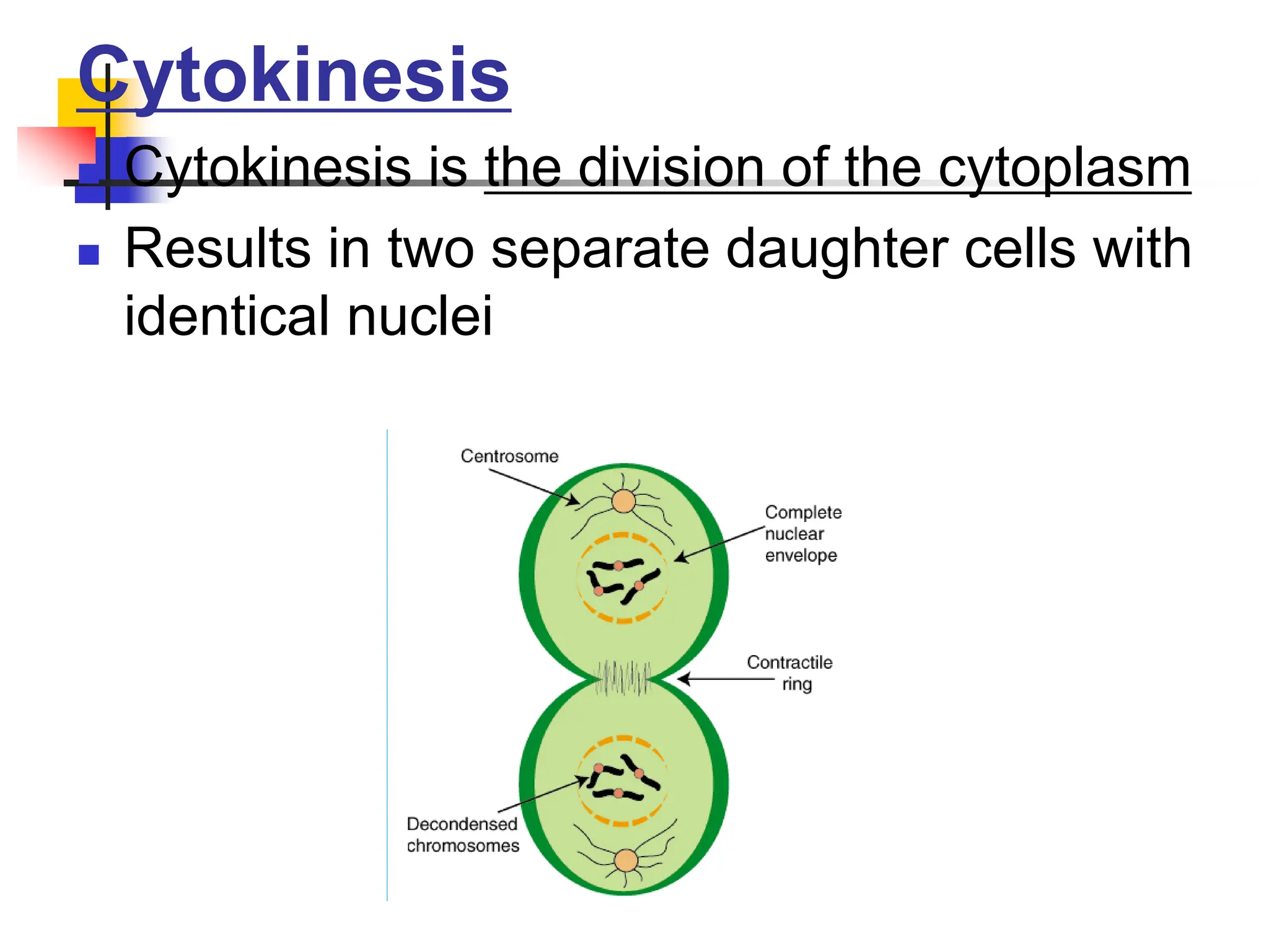 G8 Science Q4- Week 2 Cell-Division-Mitosis-Meiosis-Ppt.pptx