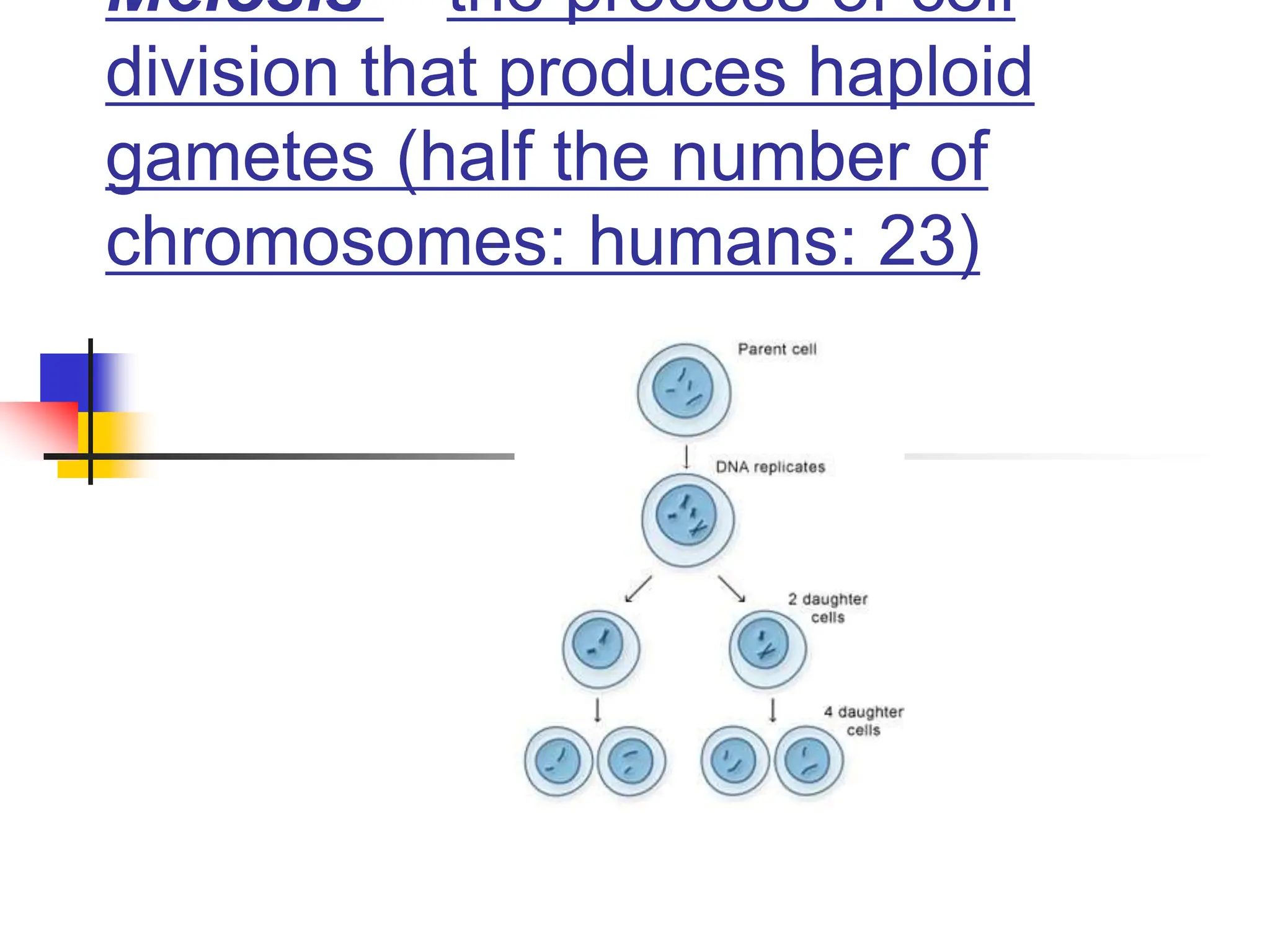 G8 Science Q4- Week 2 Cell-Division-Mitosis-Meiosis-Ppt.pptx