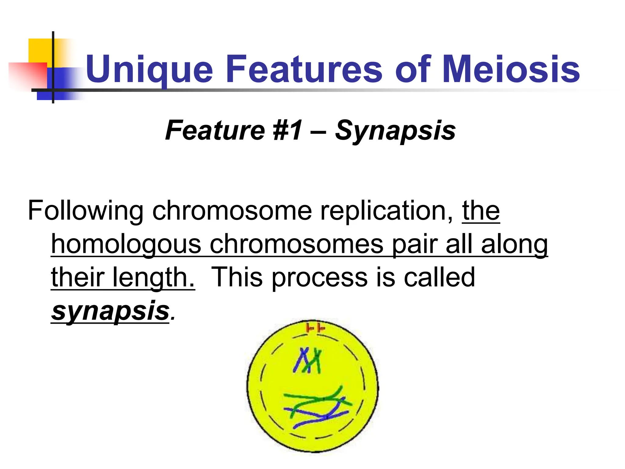 G8 Science Q4- Week 2 Cell-Division-Mitosis-Meiosis-Ppt.pptx